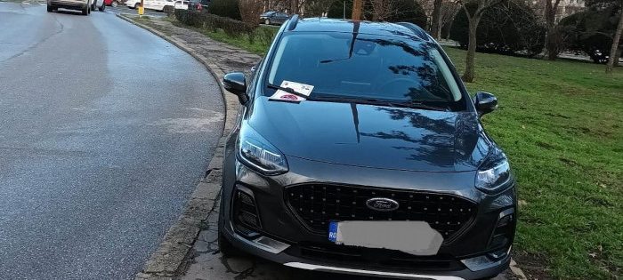 Timișoara: 37 de amenzi pentru șoferii care parchează pe spații verzi ...