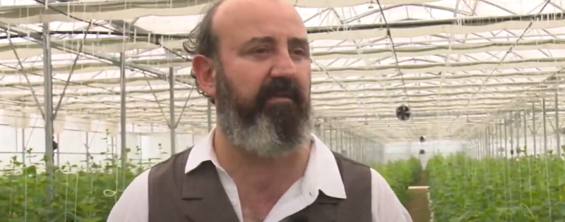 PSD Timiș propune acordarea titlului de Cetățean de Onoare al ...