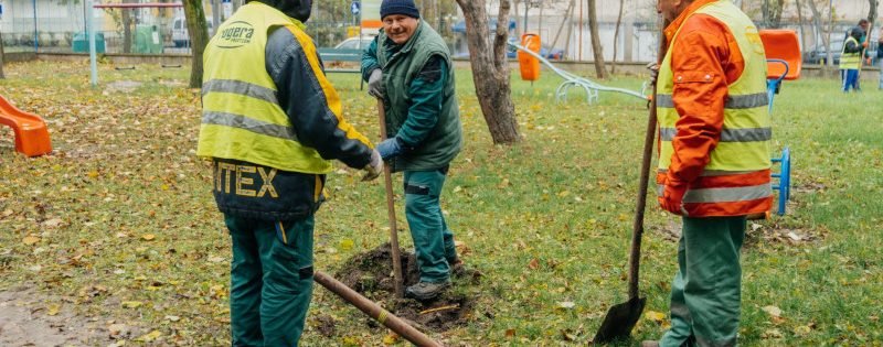 Timișoara: bulevardul Vasile Pârvan își schimbă înfățișarea – vor fi ...